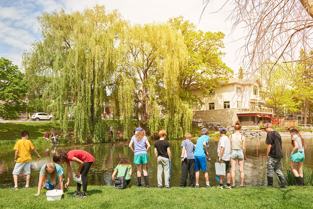 Outdoor events and visits - The Element