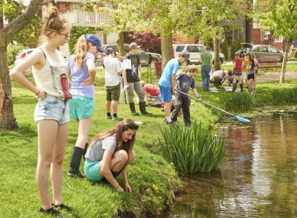 The Element High School