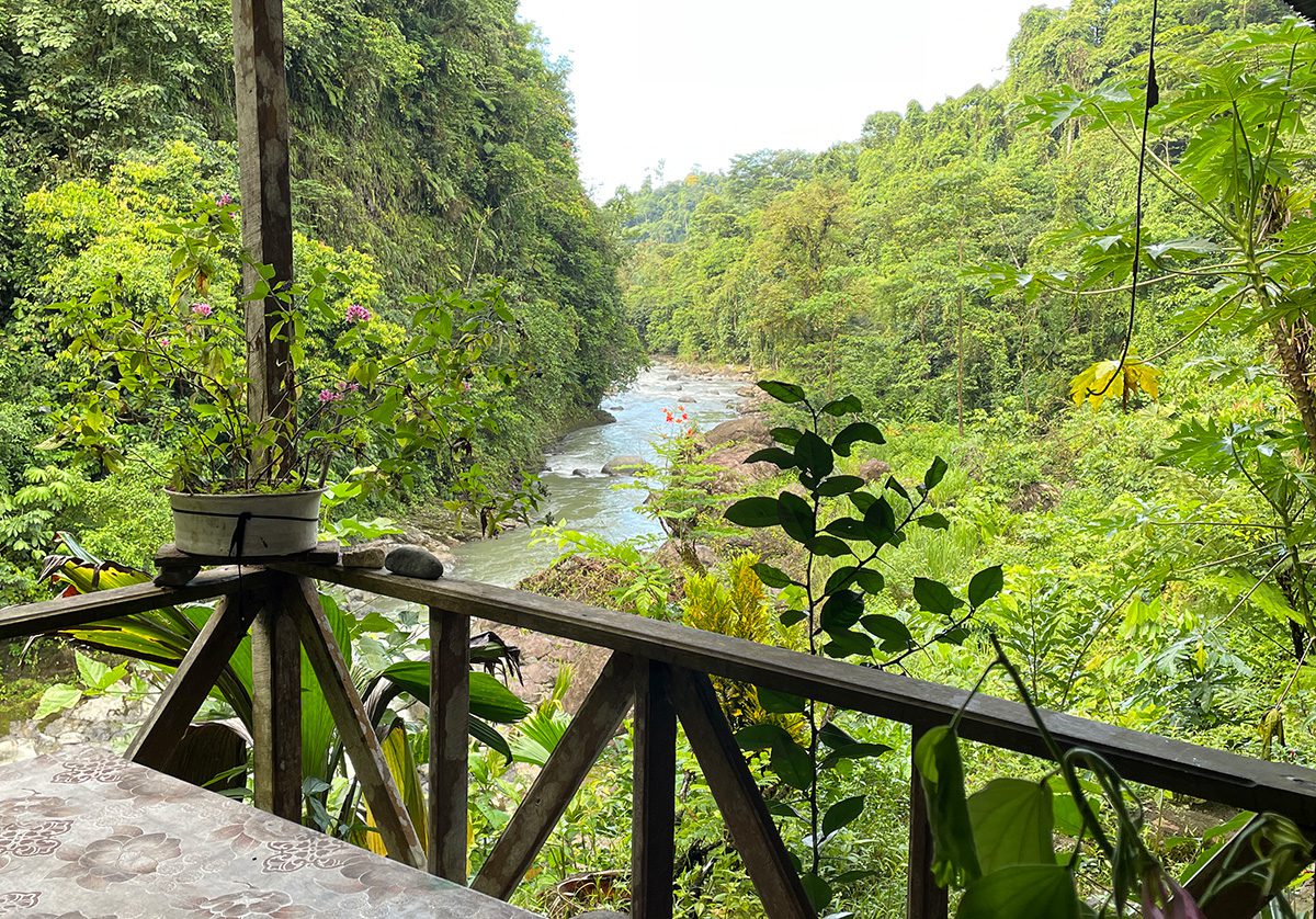 Winterim Reflection - The Element